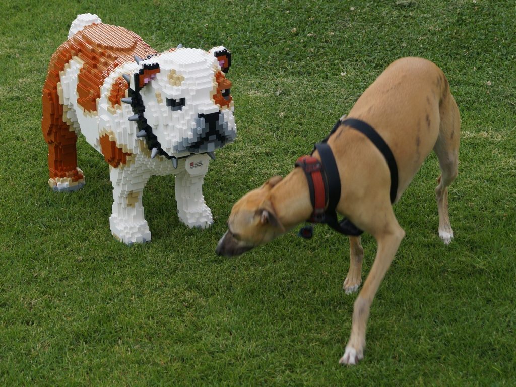 LEGO Bulldog - Brick Brains
