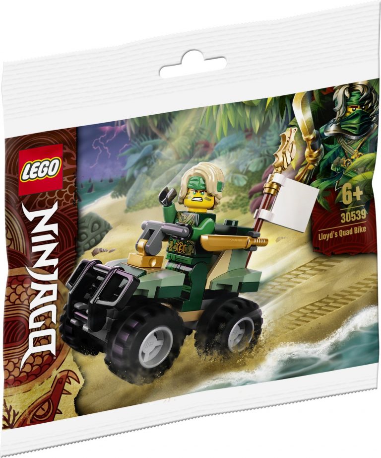 LEGO 2021 Polybags - Brick Brains
