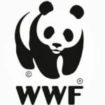 LEGO's Sustainability: Building a Greener Future - Brick Brains