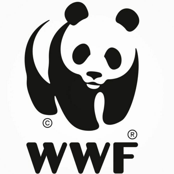 LEGO's Sustainability: Building a Greener Future - Brick Brains