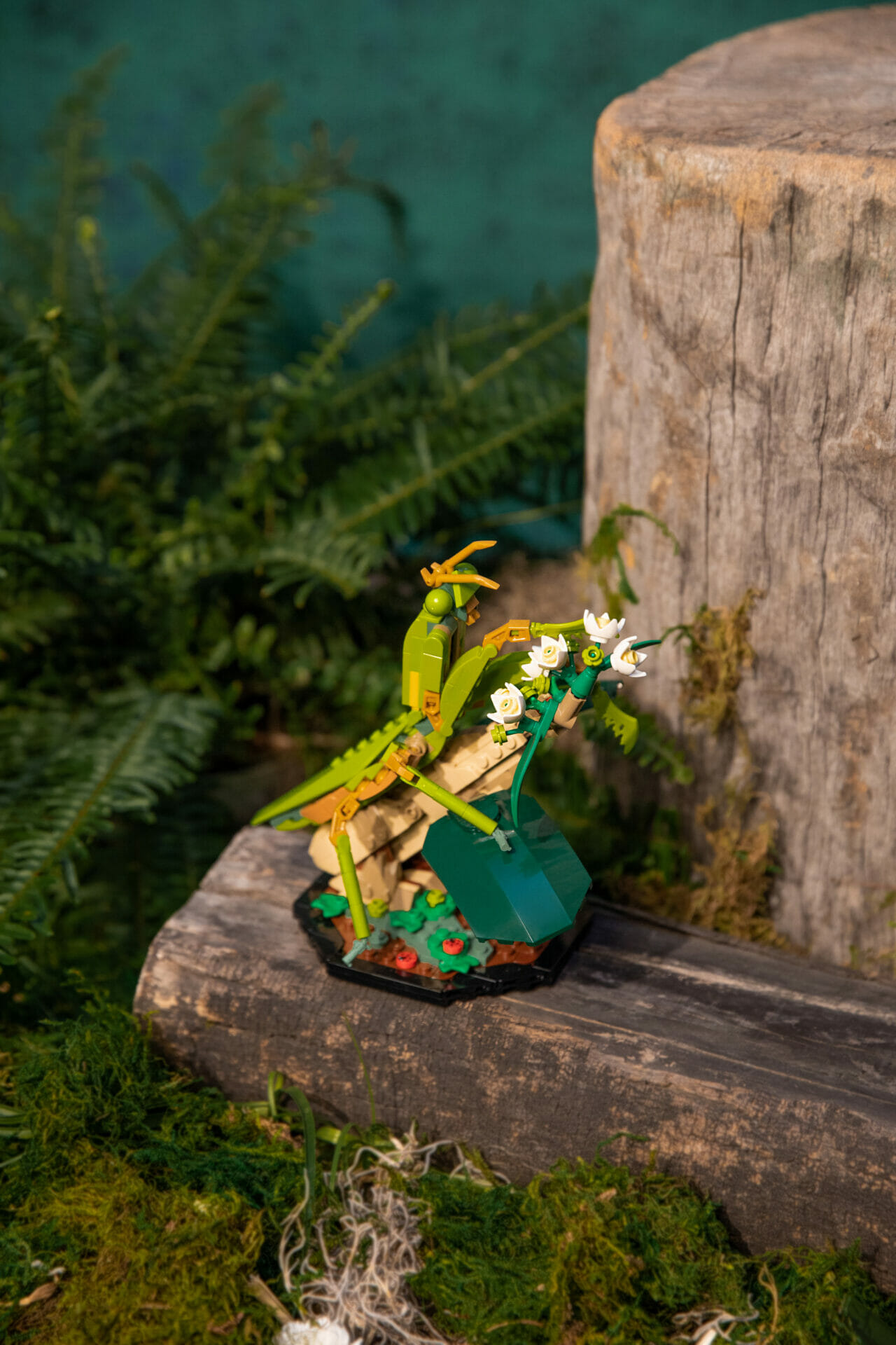 Discover the Wonders of the New LEGO® Insect Collection! - Brick Brains