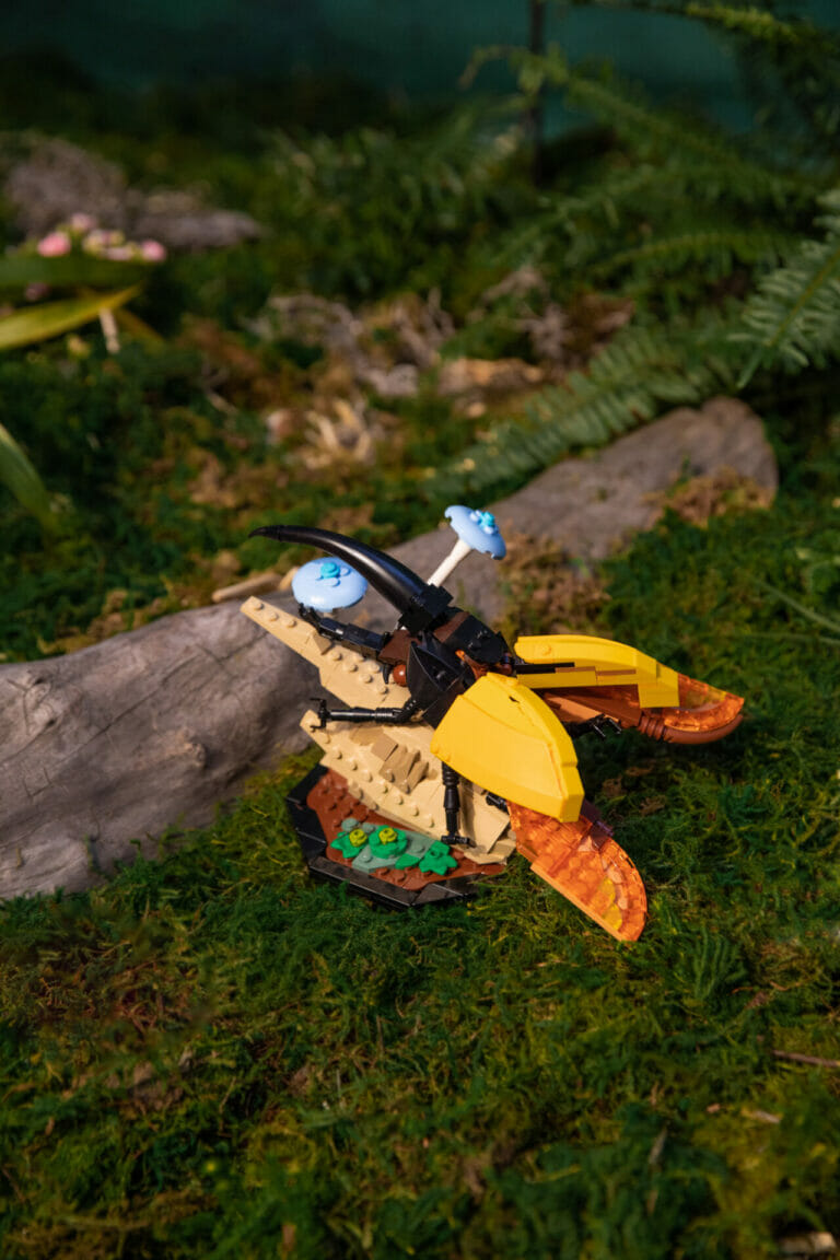 Discover the Wonders of the New LEGO® Insect Collection! - Brick Brains