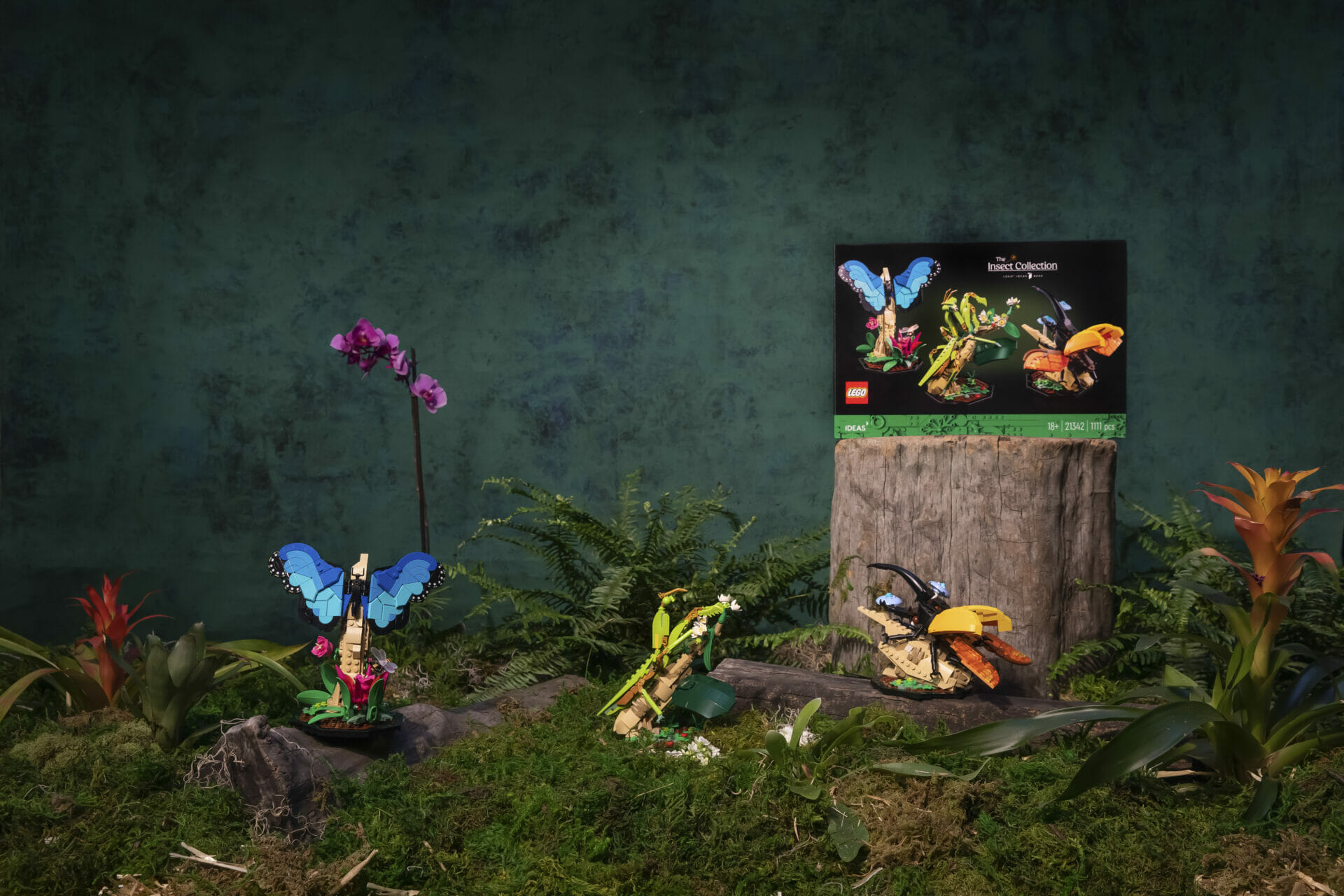 Discover the Wonders of the New LEGO® Insect Collection! - Brick Brains