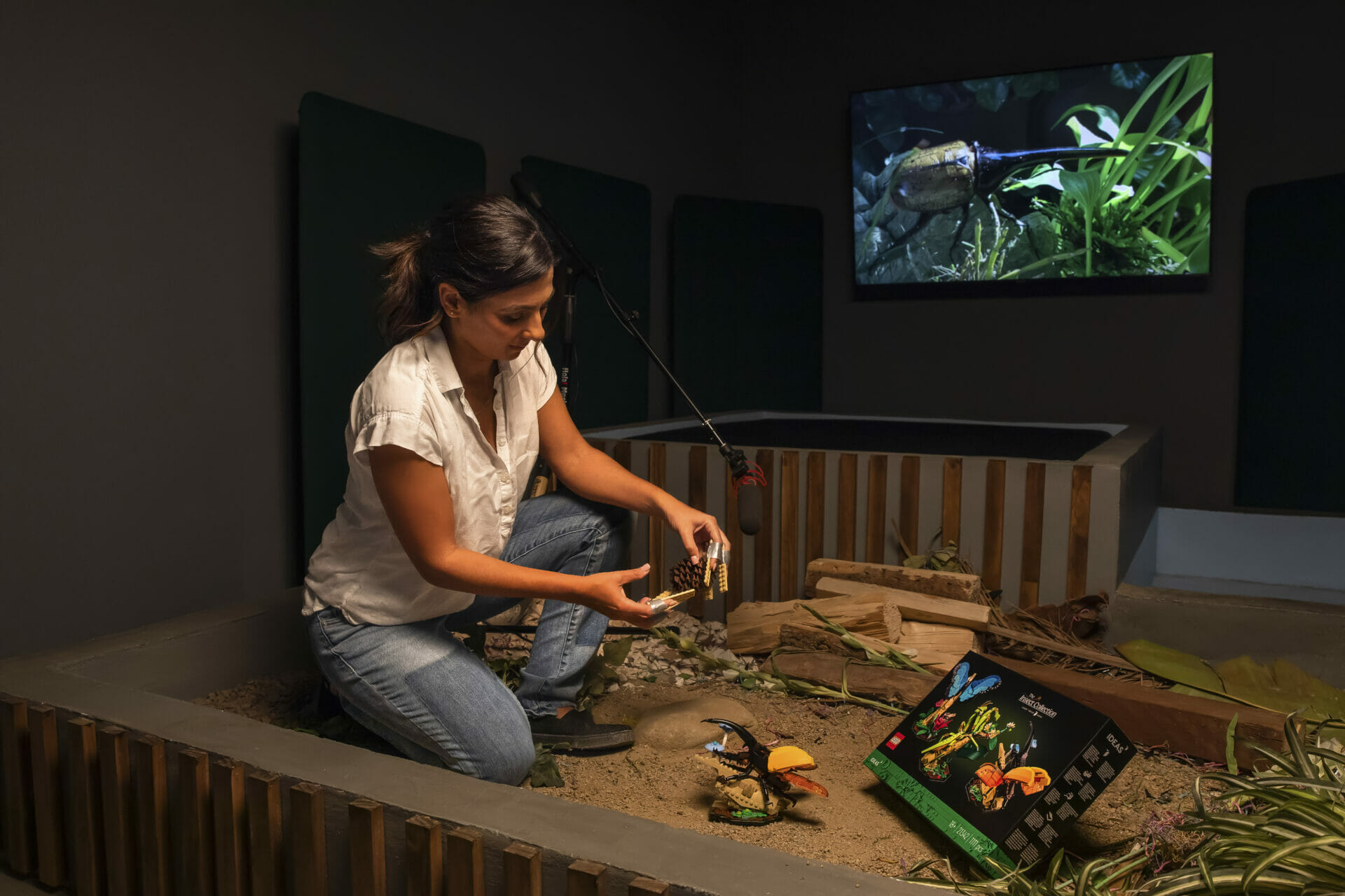 Discover the Wonders of the New LEGO® Insect Collection! - Brick Brains