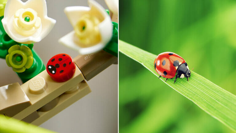 Discover the Wonders of the New LEGO® Insect Collection! - Brick Brains