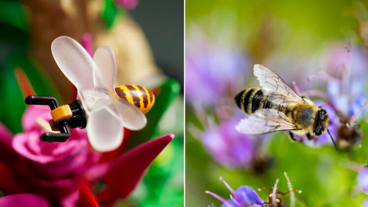 Discover the Wonders of the New LEGO® Insect Collection! - Brick Brains