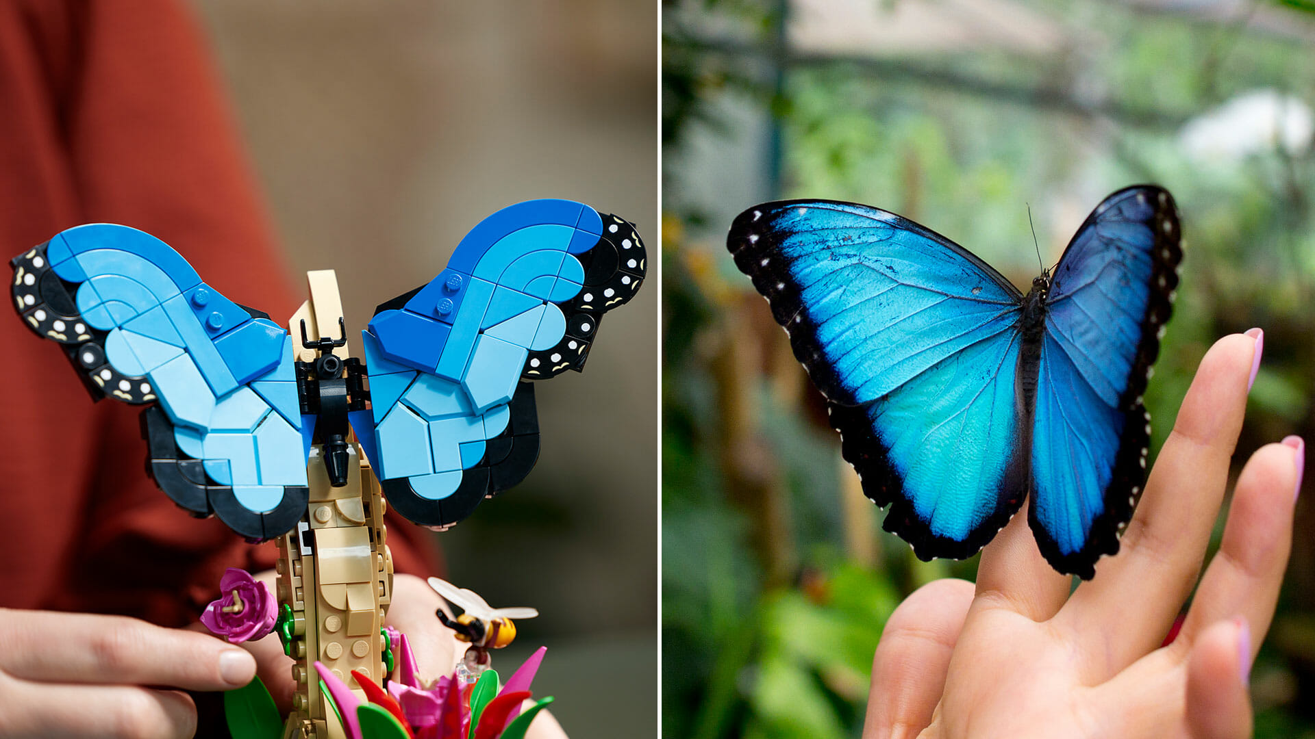 Discover the Wonders of the New LEGO® Insect Collection! - Brick Brains