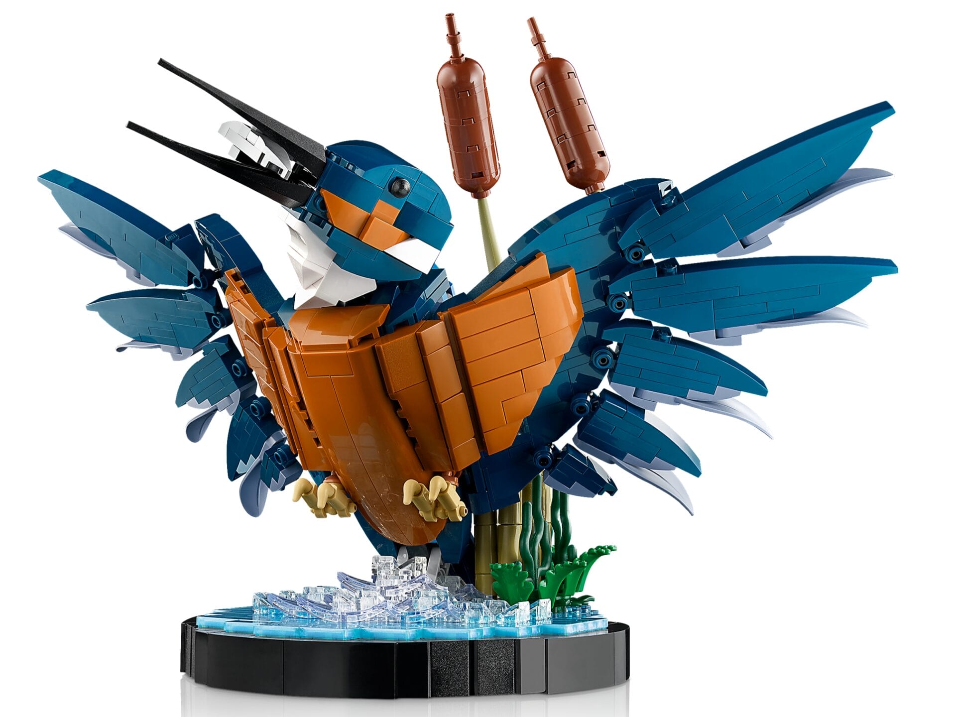 LEGO Icons Kingfisher Bird Announced For Feb 1 - Brick Brains