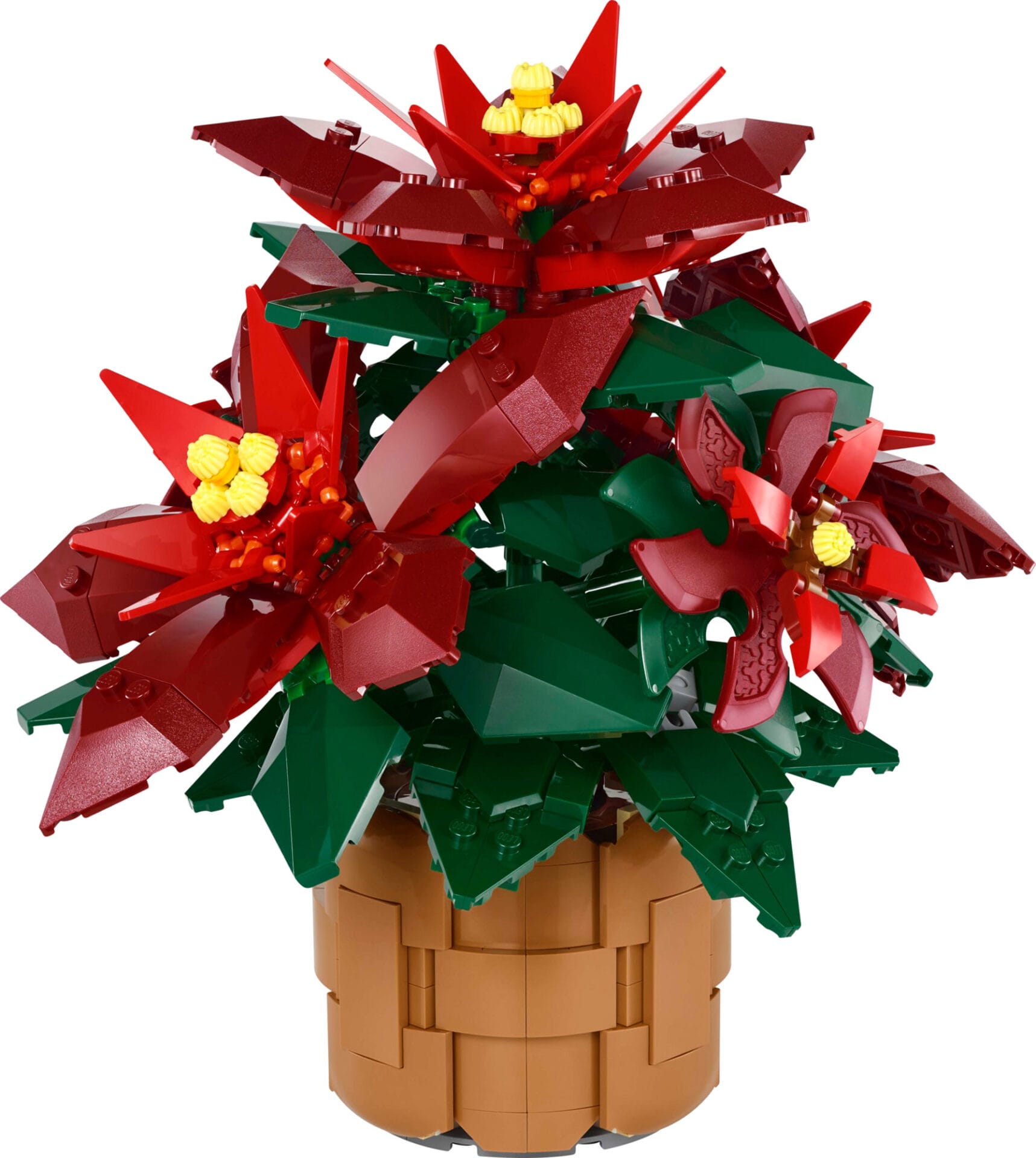 LEGO Unveils Gorgeous New LEGO Icons Poinsettia & Wreath Sets! - Brick ...